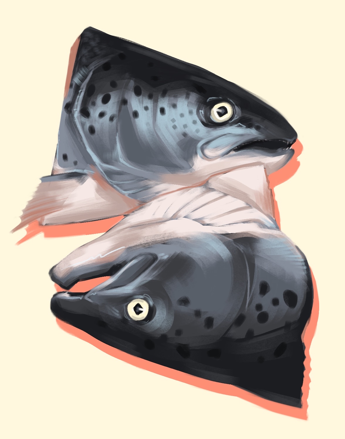 Fish Art - My Website